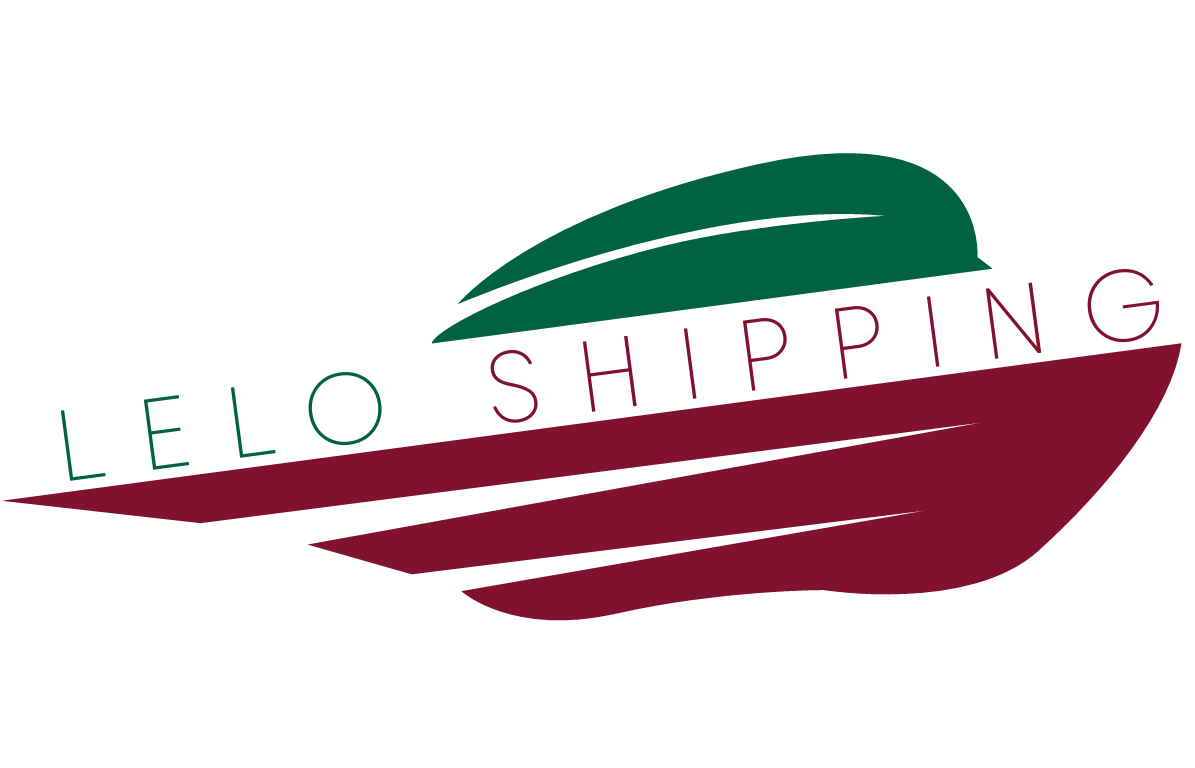 Lelo Shipping – Soluções em Logística